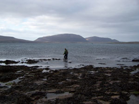 Orkney Trout Fishing Association Fishing Sea Trout